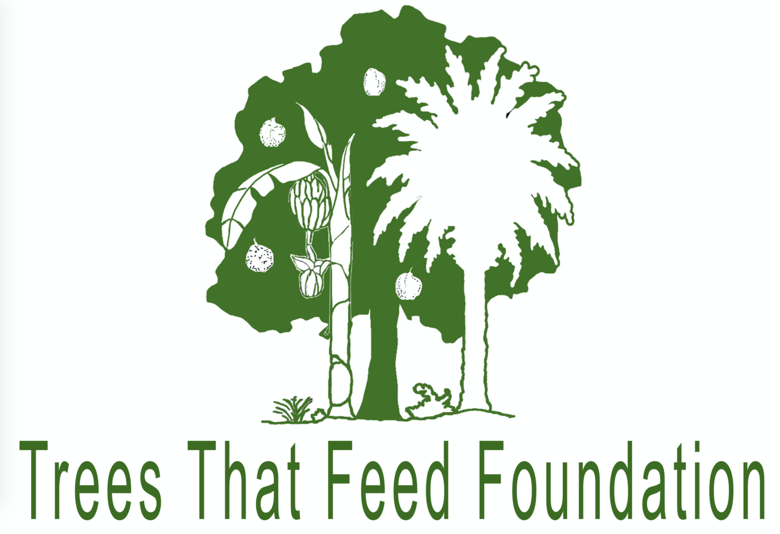2014 Philanthropy Awards: Trees That Feed
