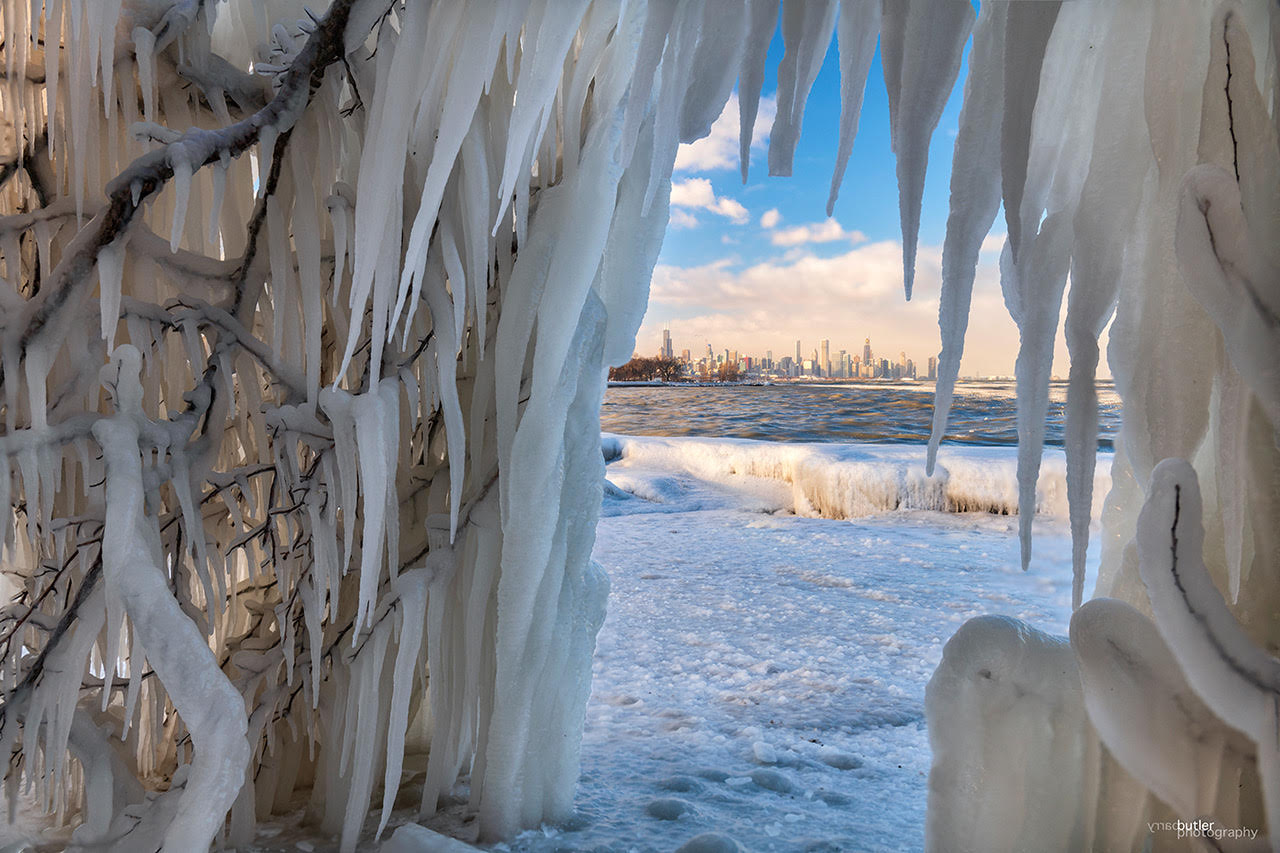 15 Chicago Photographers Share Their Favorite Photo of the Year ...