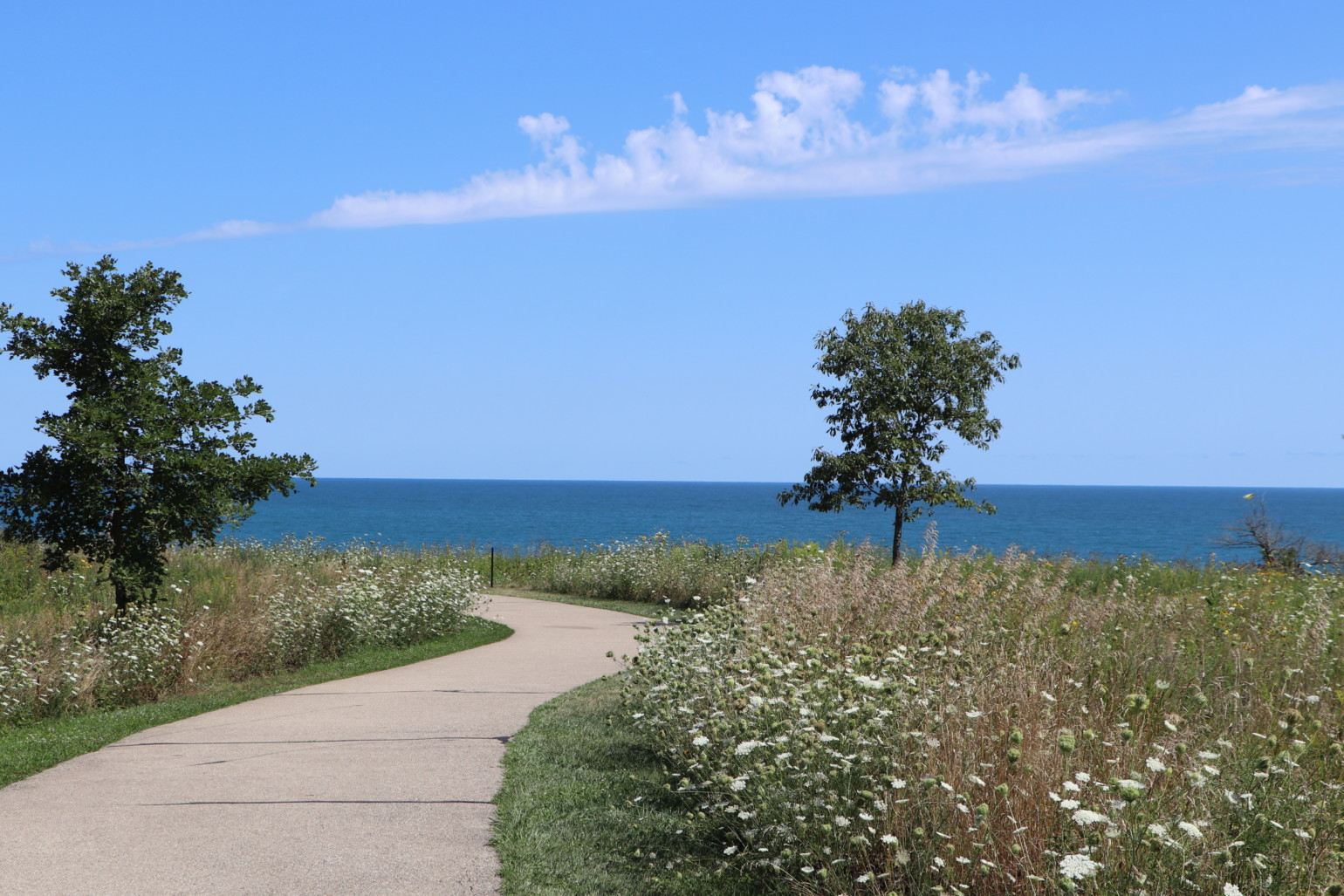 Into the Great Wide Open: Discover Openlands Lakeshore Preserve ...