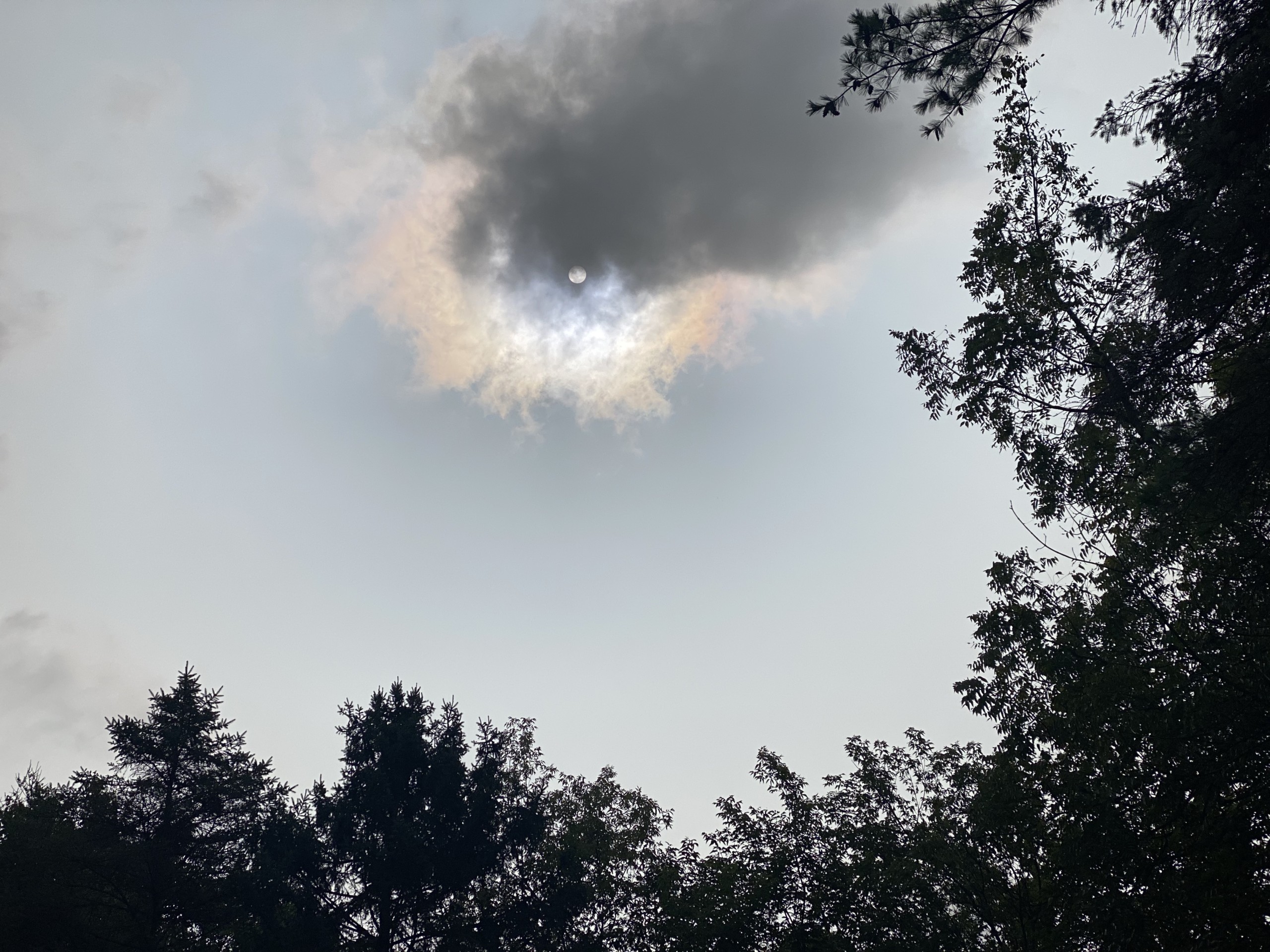 Smoke in the Sky: Chicago Sees the Effects of the West Coast Wildfires ...