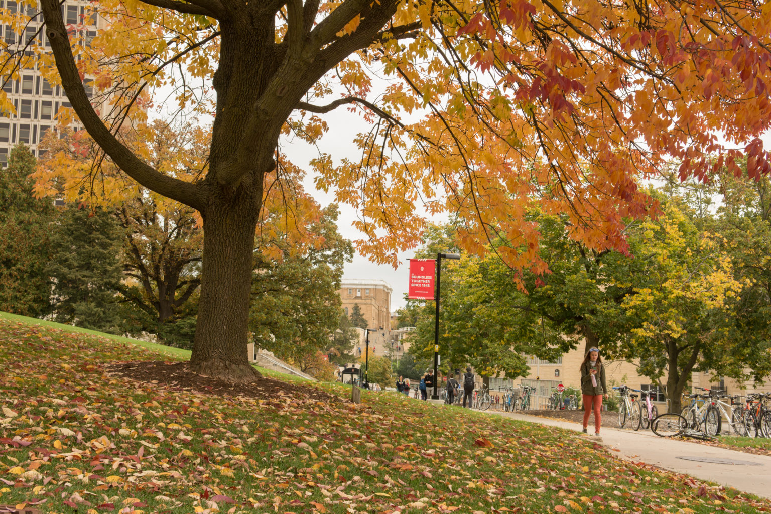 A Perfect Fall Weekend in Madison: What to Do, Where to Eat and Where ...