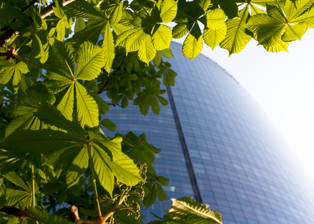 Loyola Leading For Good: Could Growing Green Businesses Mean Growing ...