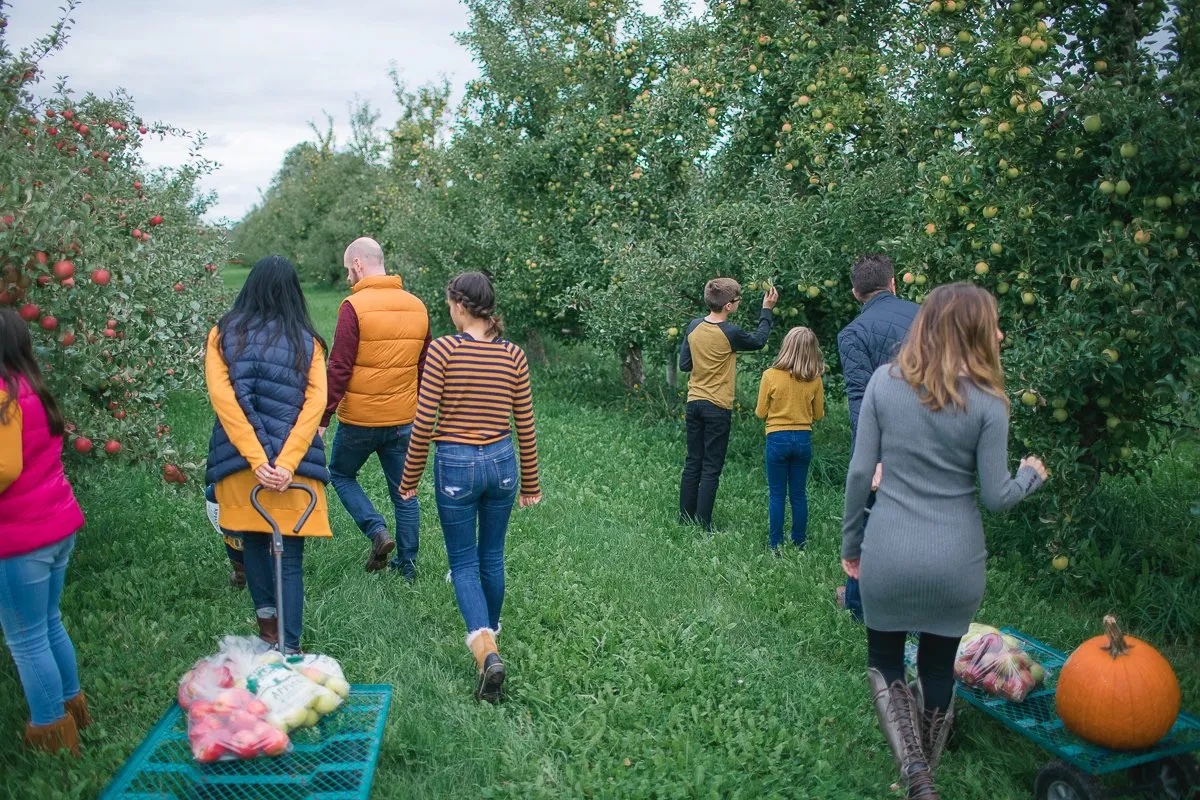 The Best Pumpkin Patches and Apple Orchards Around Chicago and the Suburbs