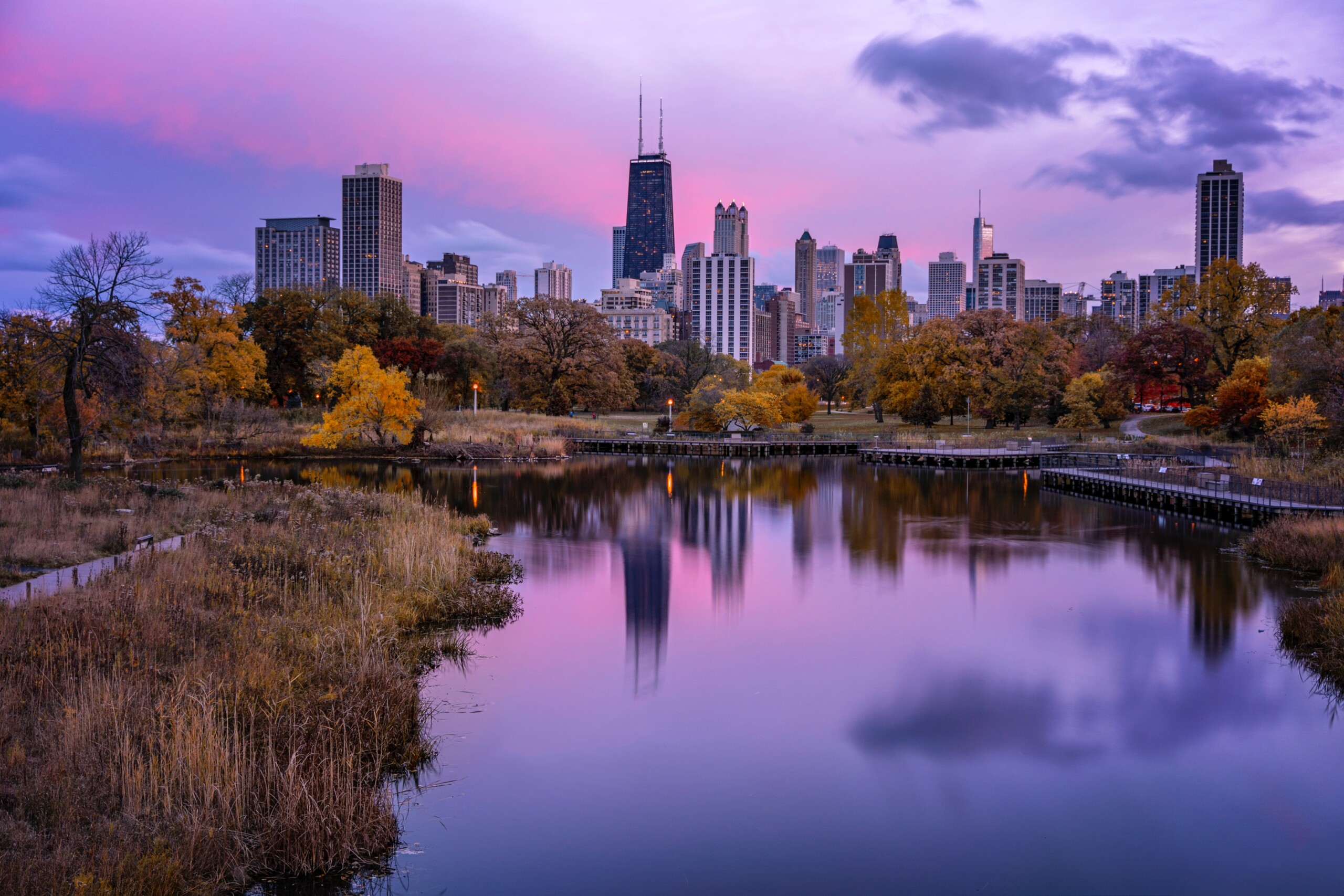 How to Help: Fight Climate Change by Supporting These Top Chicago and ...