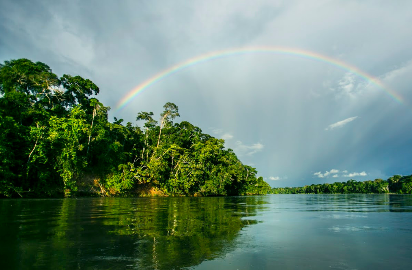 Amazon Watch’s Leila Salazar-López Shares a Passionate Message about ...