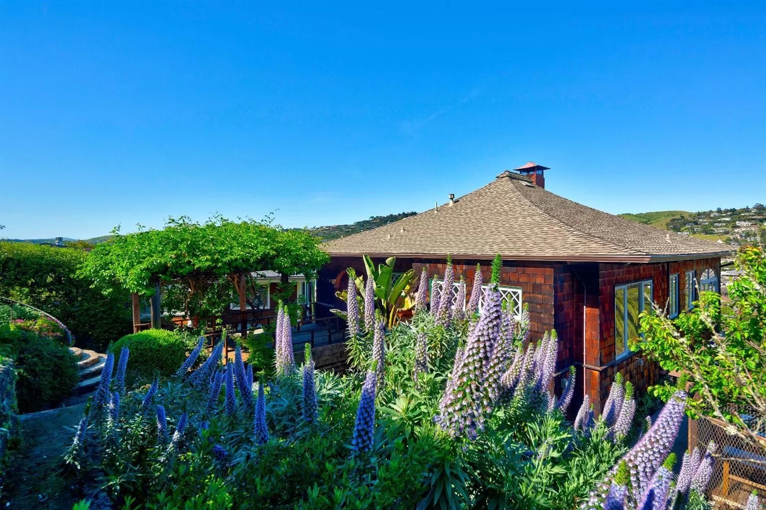 The History of the Pagoda House: The Story of One of Belvedere’s Oldest ...